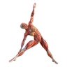 10 Unique Stretching Routines - CLEAR SKIN REGIME